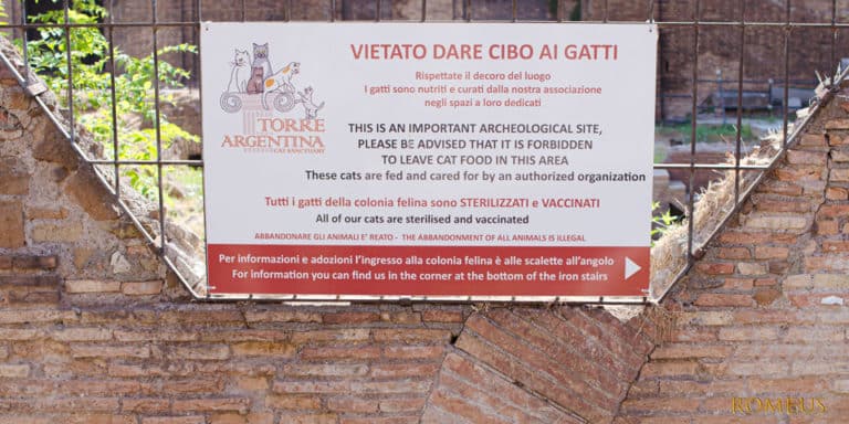 Rome Cat Sanctuary Ruins: Opening Hours & Interesting Facts