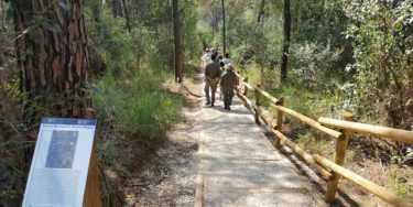 Monte Mario: highest hill of Rome, history, what to see, how to get