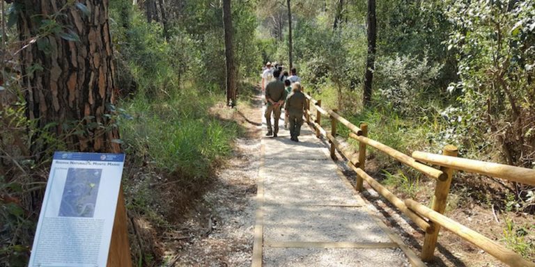 Monte Mario: highest hill of Rome, history, what to see, how to get